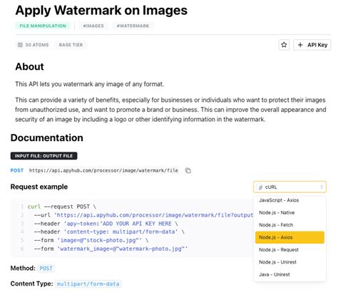 Exploring The Top Image Watermarking Apis Updated 2025