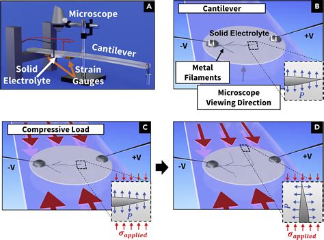 Controlling Dendrite Propagation In Solid State Batteries With Engineered Stress Joule