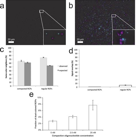 Signal Integrity Of Regular Vs Compacted Rcps Compacted Rcps A Are Download Scientific
