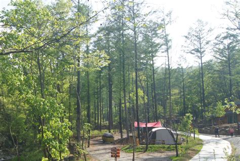 숲속야영장 조성시 환경영향평가 완화된다