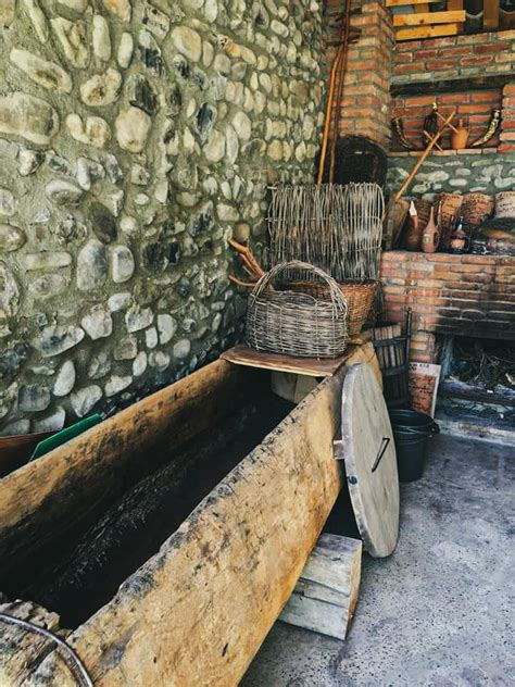 🍇 იცით რამდენი წელი ცოცხლობს ვენახი 💫 ვენახის სიცოცხლისუნარიანობა დამოკიდებულია მის მოვლა