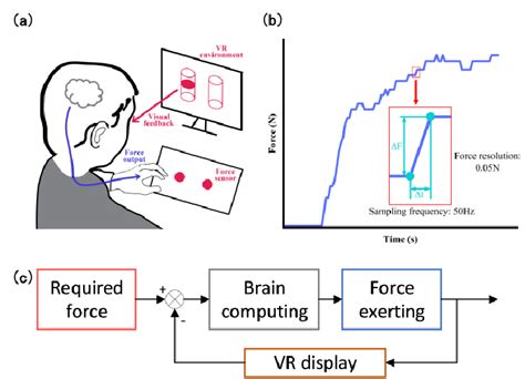 Brain Function In Haptic Perception And Control Process A The Force Download Scientific