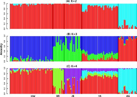 Unsupervised Hierarchical Clustering Of Individuals Genotyped For