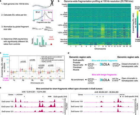 Regional Fragment Size Analysis Detects An Ews Tumor Specific Regional Fragment Size Analysis Detects An Ews Tumor Specific