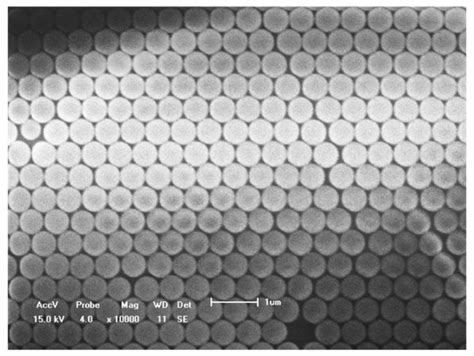 Sensors Special Issue Nanoparticle Based Biosensors
