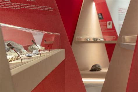 Countdown To Mass Extinction By Nine Associati Architizer