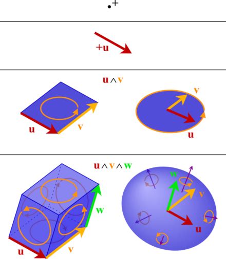 Multivector HandWiki