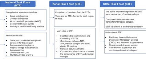 Sts Basics Of Tb And Ntep Knowledge Base