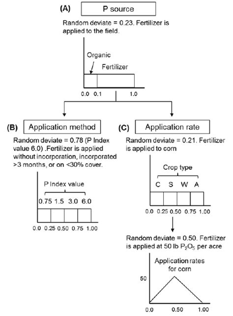 example of the steps used to generate the p source p application