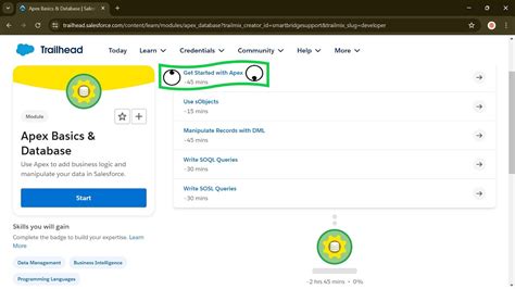 Get Started With Apex Apex Basics Database Salesforce Supported