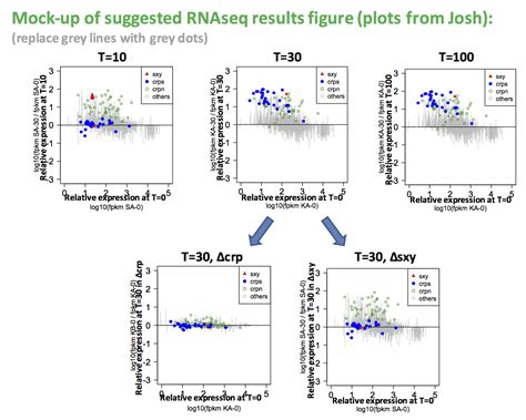 RRResearch What We Learned From The RNAseq Data Part