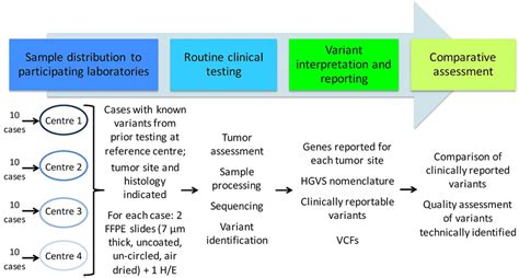 Flow Chart Depicting The Pilot Proficiency Testing Workflow Ten Download Scientific Diagram
