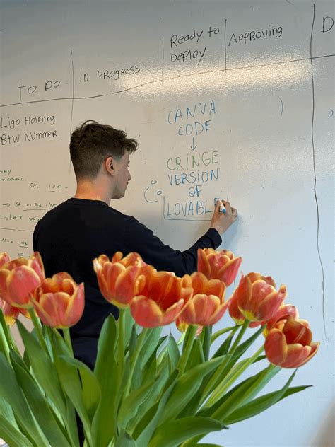 mvp nocode startups productdevelopment techfounders saas… skylark