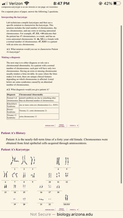 lab technicians compile karyotypes and then use a