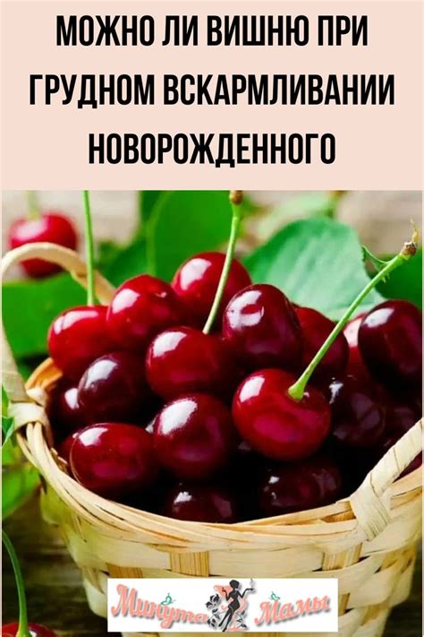 Можно ли вишню при грудном вскармливании