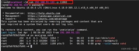 docker容器添加ssh服务 docker ssh csdn博客