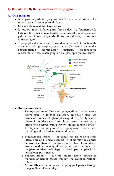 Temporal And Infratemporal Fossa Anatomy Qa Anatomy Of Pterygopalatine