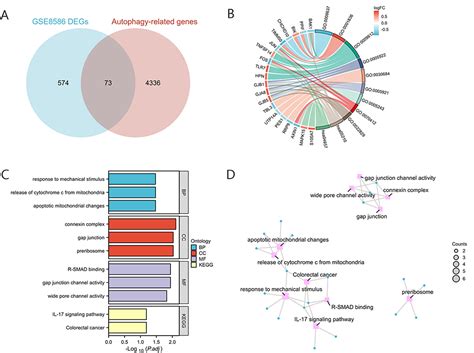 Analysis And Validation Of Autophagy Related Gene Biomarkers And Immun