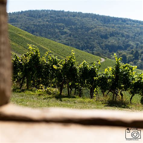 Reuke Eva Maria Eichstätter Fotoclub
