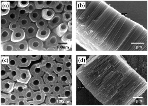 SEM Images Of TiO2 Nanotube Arrays By Anodic Oxidation Process At A Download Scientific Diagram