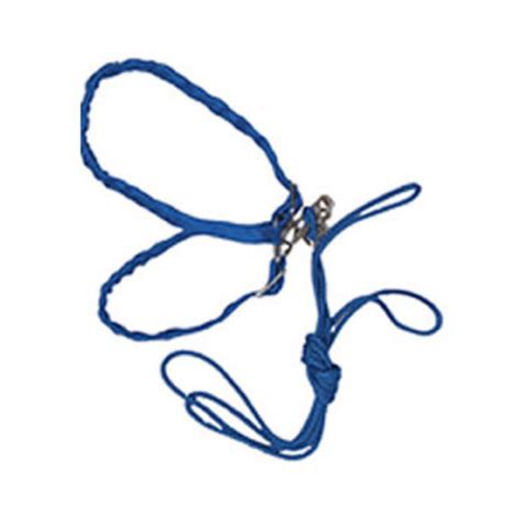 Elastic Cat Harness Cat Harness Available In Assorted Colours