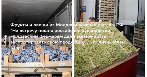 Фрукты и овощи из Молдовы возвращаются в РФ На встречу пошло