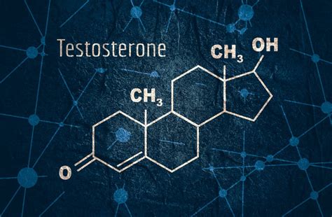 What Happens When Testosterone Levels Increase Healthgains