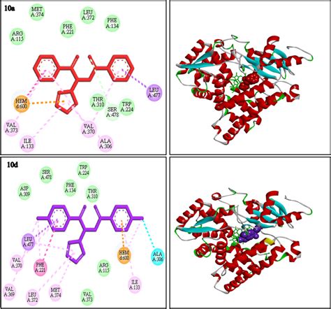 2d Interaction Diagrams Representing The Docked Conformation Of
