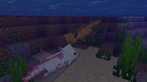 How To Breed Axolotls In Minecraft