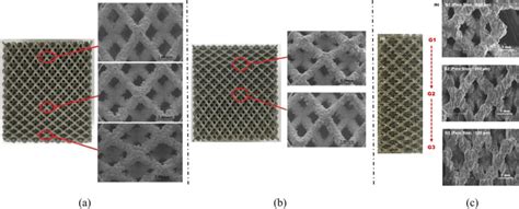 Gradient Porosity Made By Different Processes And Materials A Ti Alloy Download Scientific