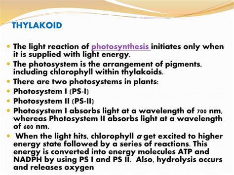 Structural Organization Of Chloroplast Pptx Biological Sciences