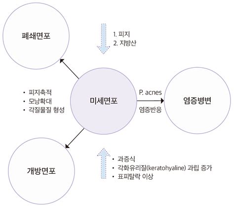 여드름acne Metamedic