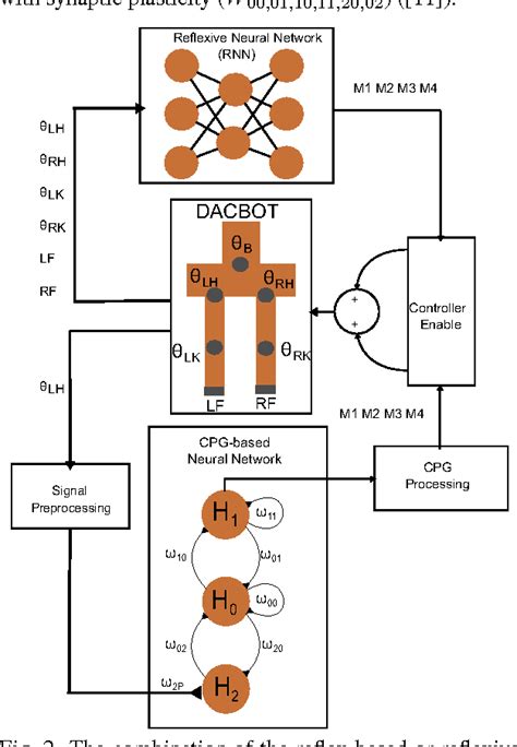 Figure 2 From A Combination Of Central Pattern Generator Based And Reflex Based Neural Networks