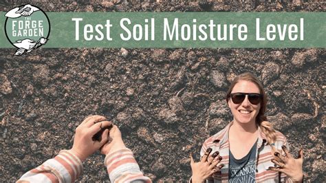 How To Test The Soil For The Correct Moisture Level Youtube