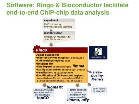 Ppt Analyzing Chip Chip Data Using Bioconductor A Tutorial Powerpoint