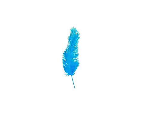 Pieten Veer Turquoise Mooie Blauwe Struisveer Spadona De Goede Keus