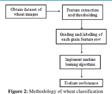 Figure 1 From Classification Of Wheat Grains Using Machine Algorithms Semantic Scholar