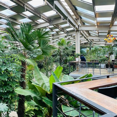 파릇파릇 초록식물 가득 식물원 카페 Best 5 식신