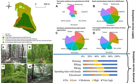Frontiers Mainstreaming Ecosystem Services And Biodiversity In Peri Urban Forest Park Creation