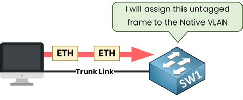 Trunk Native Vlan Explained For Ccna