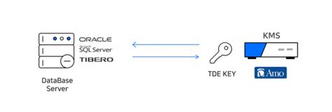 펜타시큐리티 tde 키 관리 지원 db 확대 zdnet korea