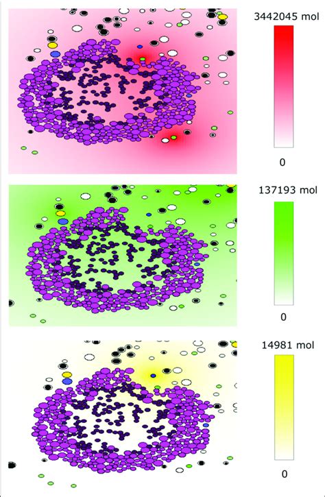 an example of a numerical simulation with the hybrid model of