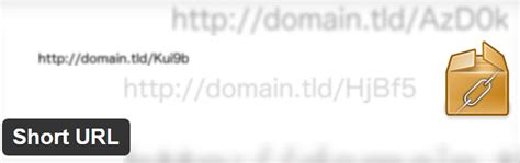 Which WordPress Plugins Are Best For Shortening URLs FastWebHost