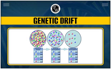 Genetic Drift Inroduction Examples Types Causes