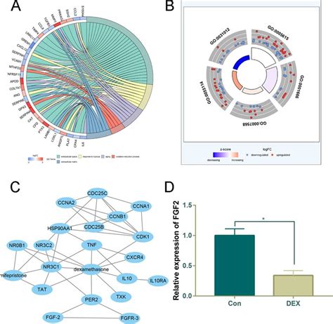 A Chord Diagram That Presents The Degs Linked Via Ribbons To Their Download Scientific Diagram