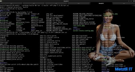 Metztli Reiser4 Php Debian Php 7310 Php737310 1 Zts Phtreads