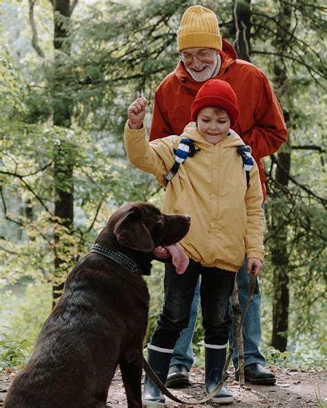 Tick Borne Illnesses Reach Endemic Levels In Northeastern United States