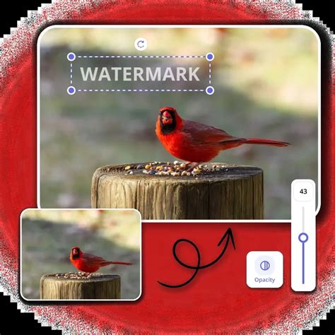 Add Watermark To Photos Online Lightx