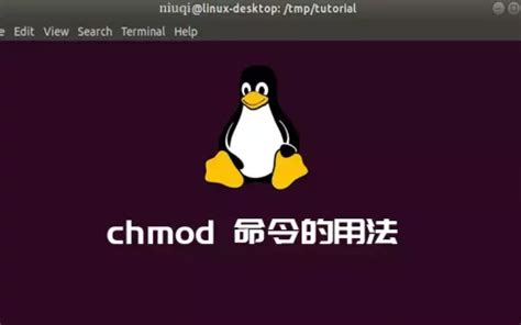 Linux 查询特定时间内更新的文件Linux查找五天内修改的文件 牛奇网