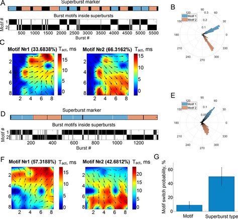 Switch In The Spike Propagation Pathway During Long Superbursts A